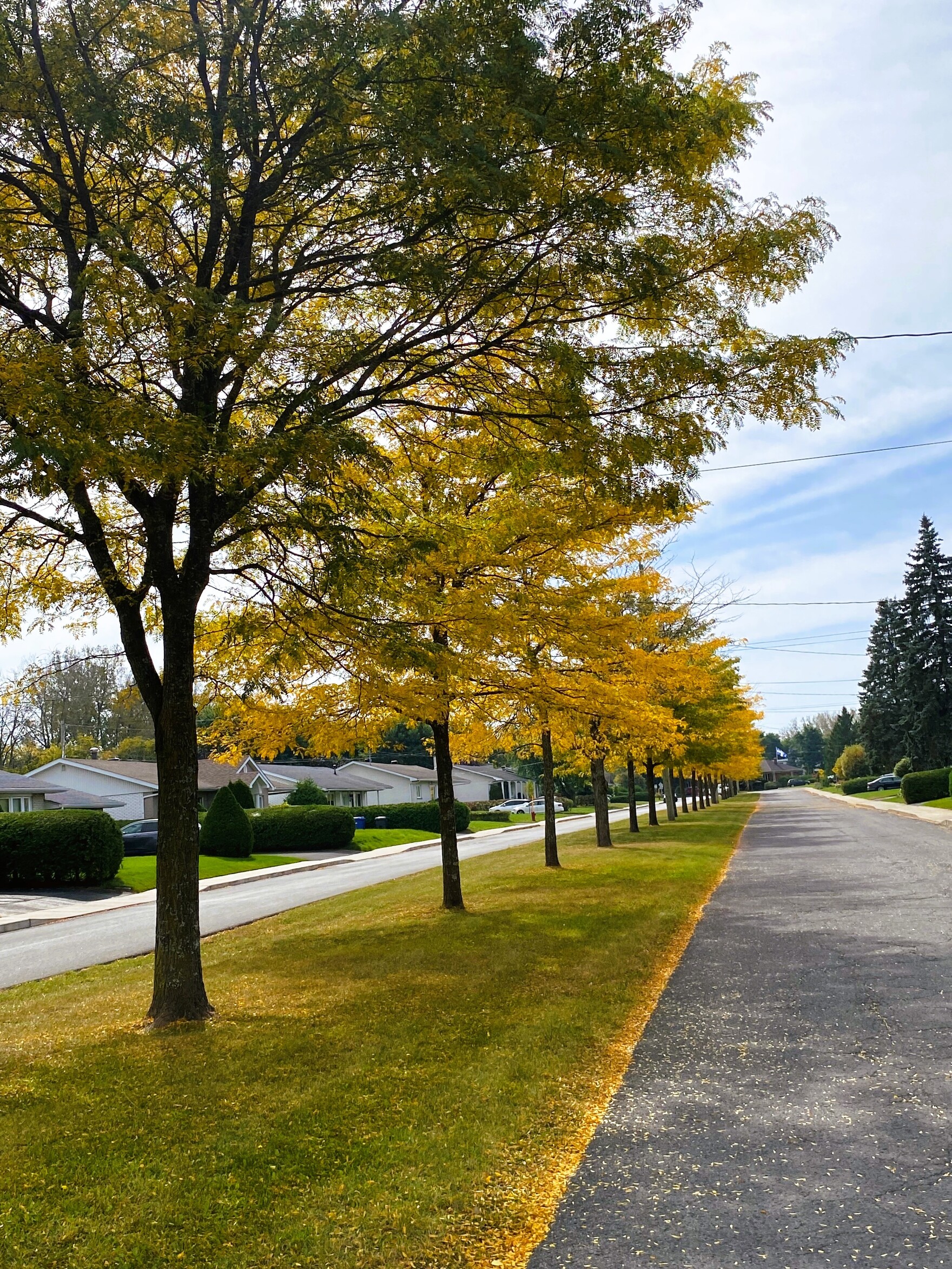 Municipalité de Napierville | Municipalité de Napierville